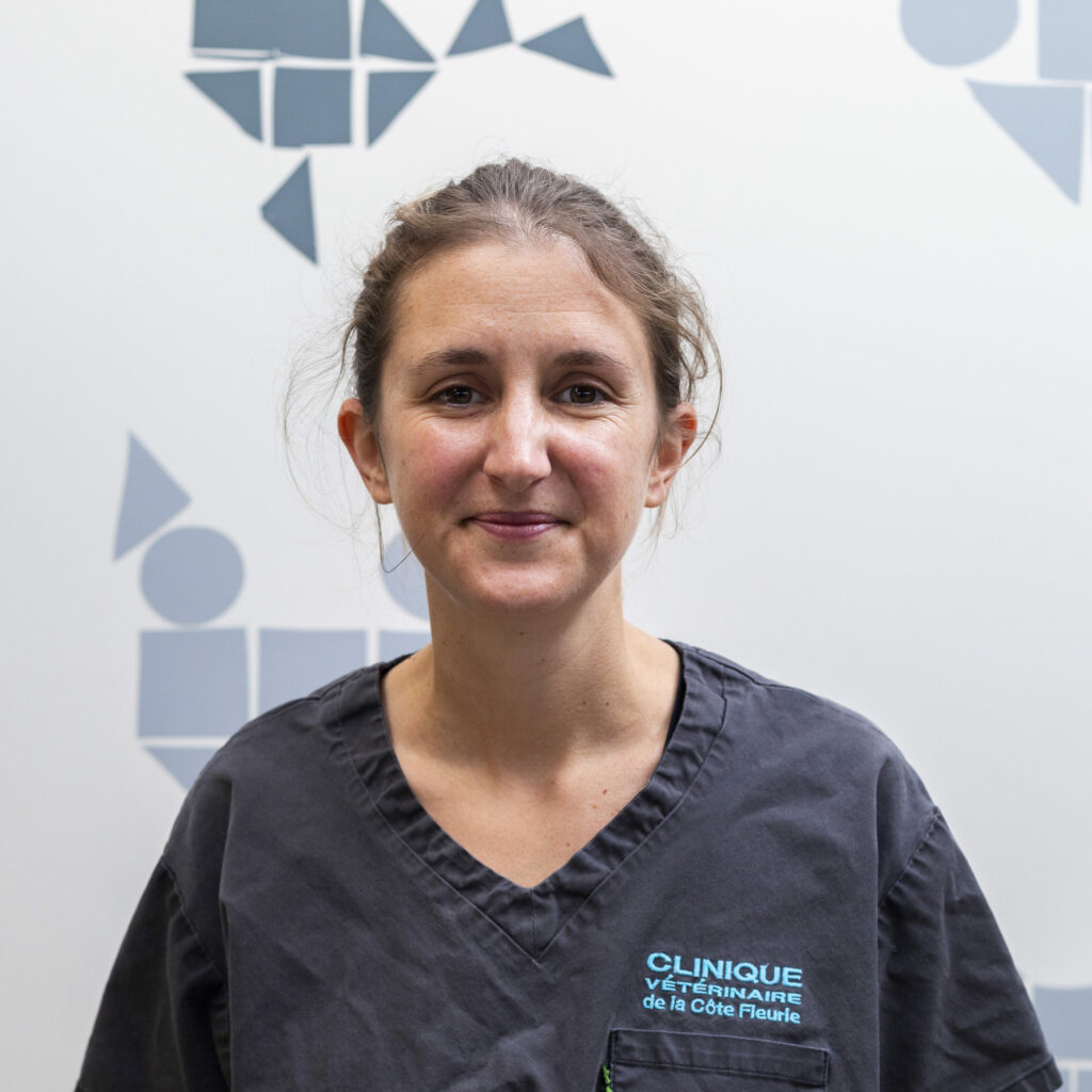 Équipe petits animaux – CVCF